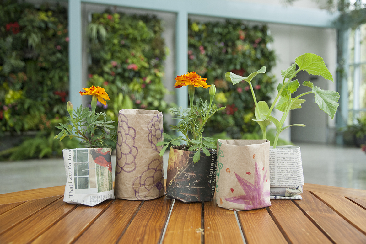 Pretty Paper Flower Pots - Studio 5