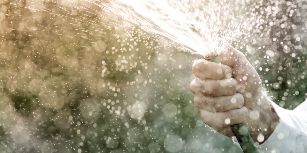 Conserve Water This Fall - Studio 5