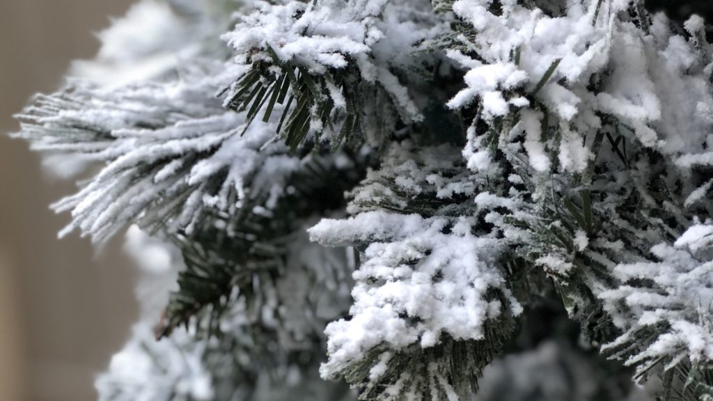 The Easy DIY for a Beautifully Flocked Tree - Studio 5