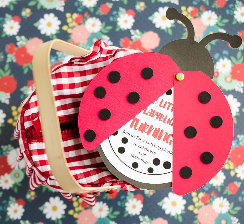 This Cute Ladybug Picnic is the Perfect Spring Party - Studio 5