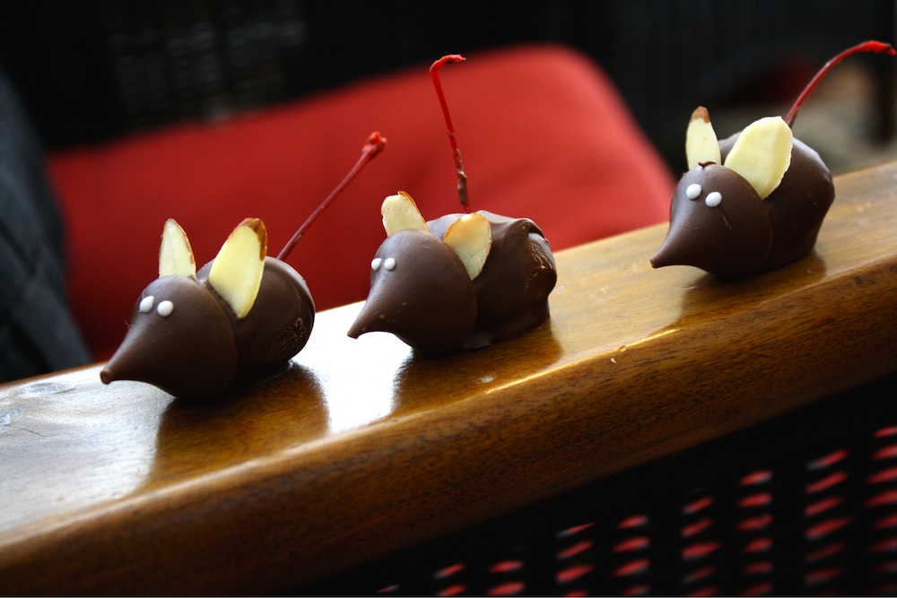 Chocolate Mice - Studio 5