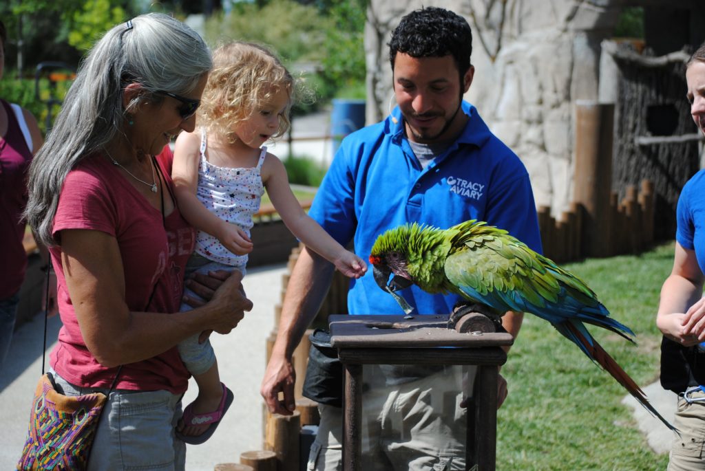 5 Huge Discounts on Family Fun Activities - Studio 5