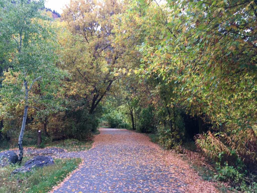 5 of the Funnest Fall Field Trips in Utah - Studio 5