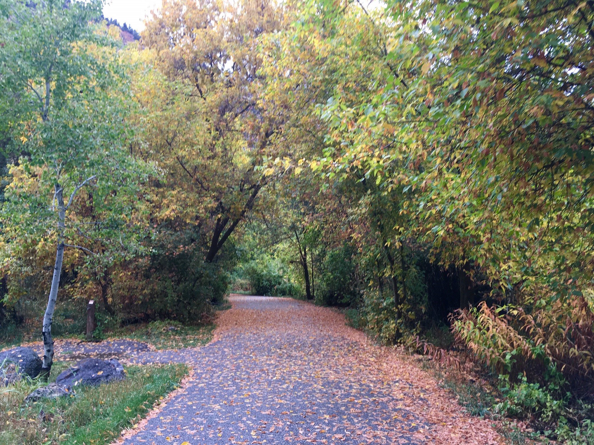 5 of the Funnest Fall Field Trips in Utah - Studio 5