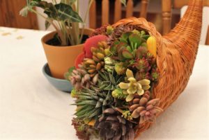 Succulent Cornucopia: Add some modern flair to this traditional decor