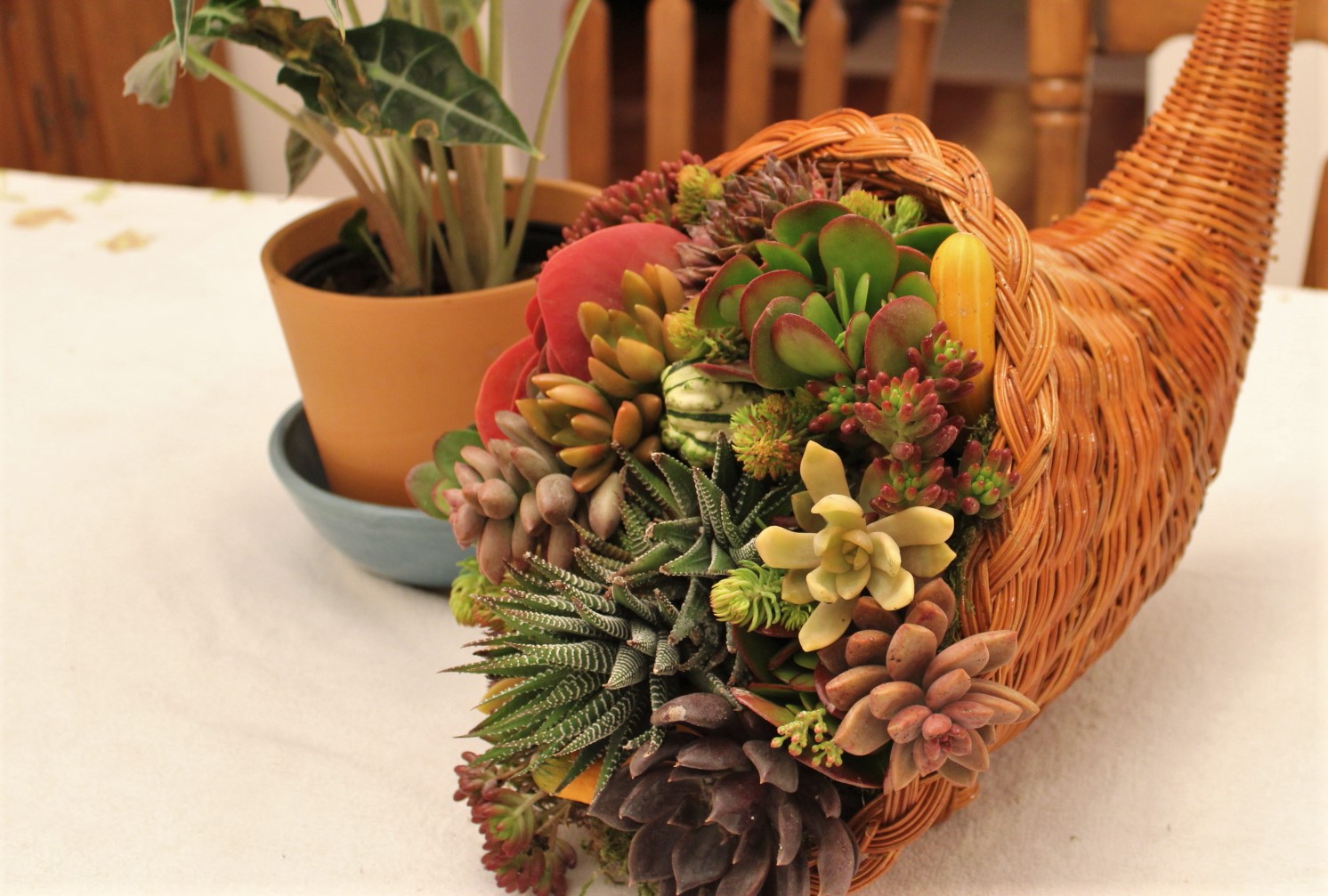 Succulent Cornucopia: Add some modern flair to this traditional decor