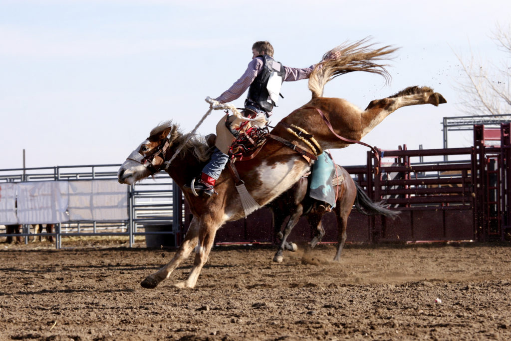 Don't miss the only Gold Medal Rodeo in the world! Here's when to watch ...