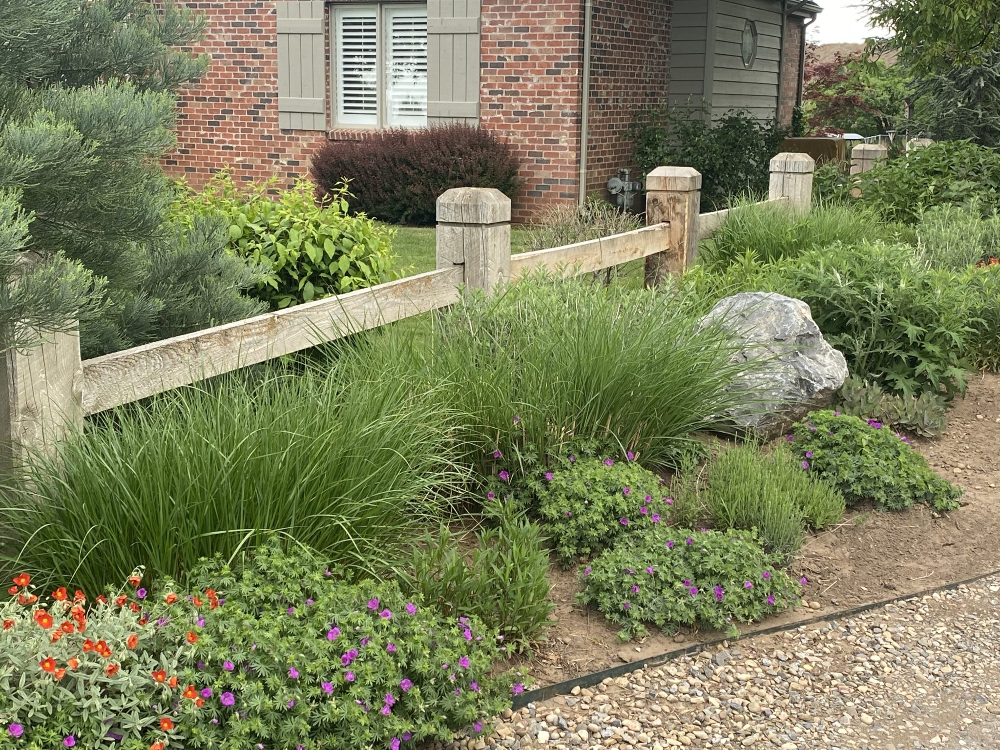 Don't have a fence? Plant one! Here are 3 ways to use ornamental grass ...