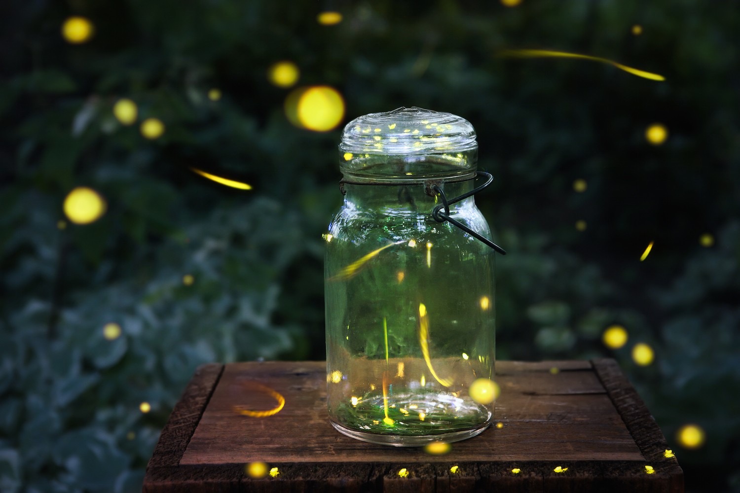 Fireflies in Utah?! Here's where to find them in our state...