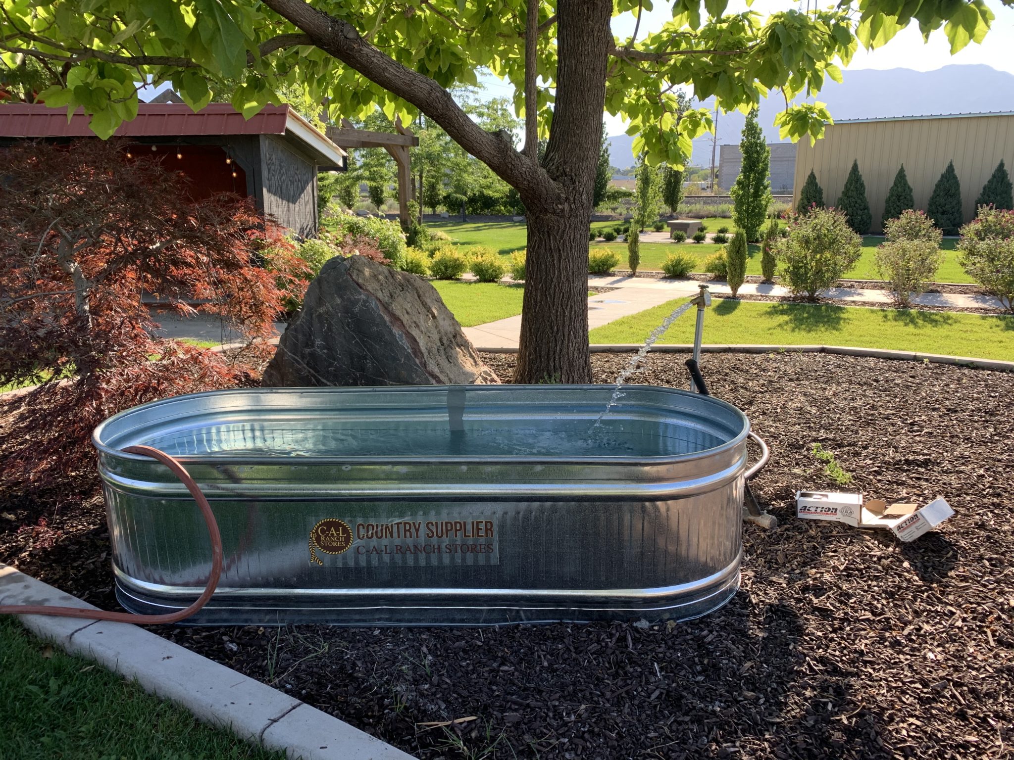 A backyard pool for less than $500?! Here's how to use a stock tank for ...