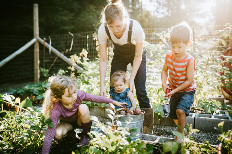 Jump start your 2021 garden! Here is how to save seeds from this year's ...