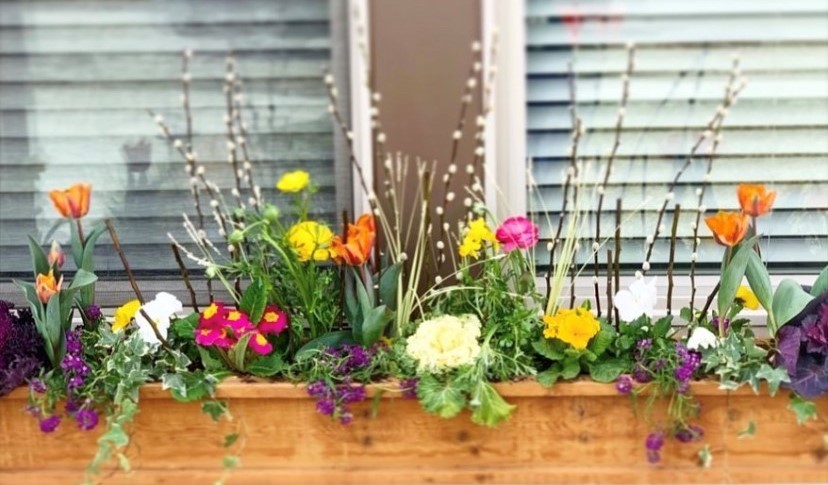 Pull out your porch pots! Spring-ify your stoop with some fresh flowers