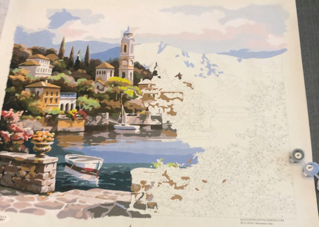 Next Level Adult Coloring: These paint by number projects turn into ...