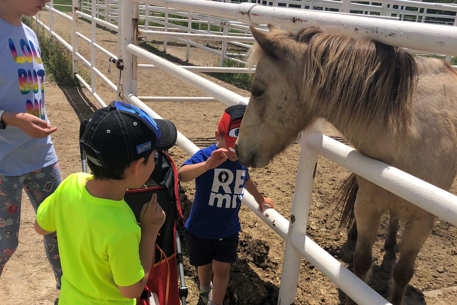 Kick off your summer adventures! 5 activities that are fun for all ages