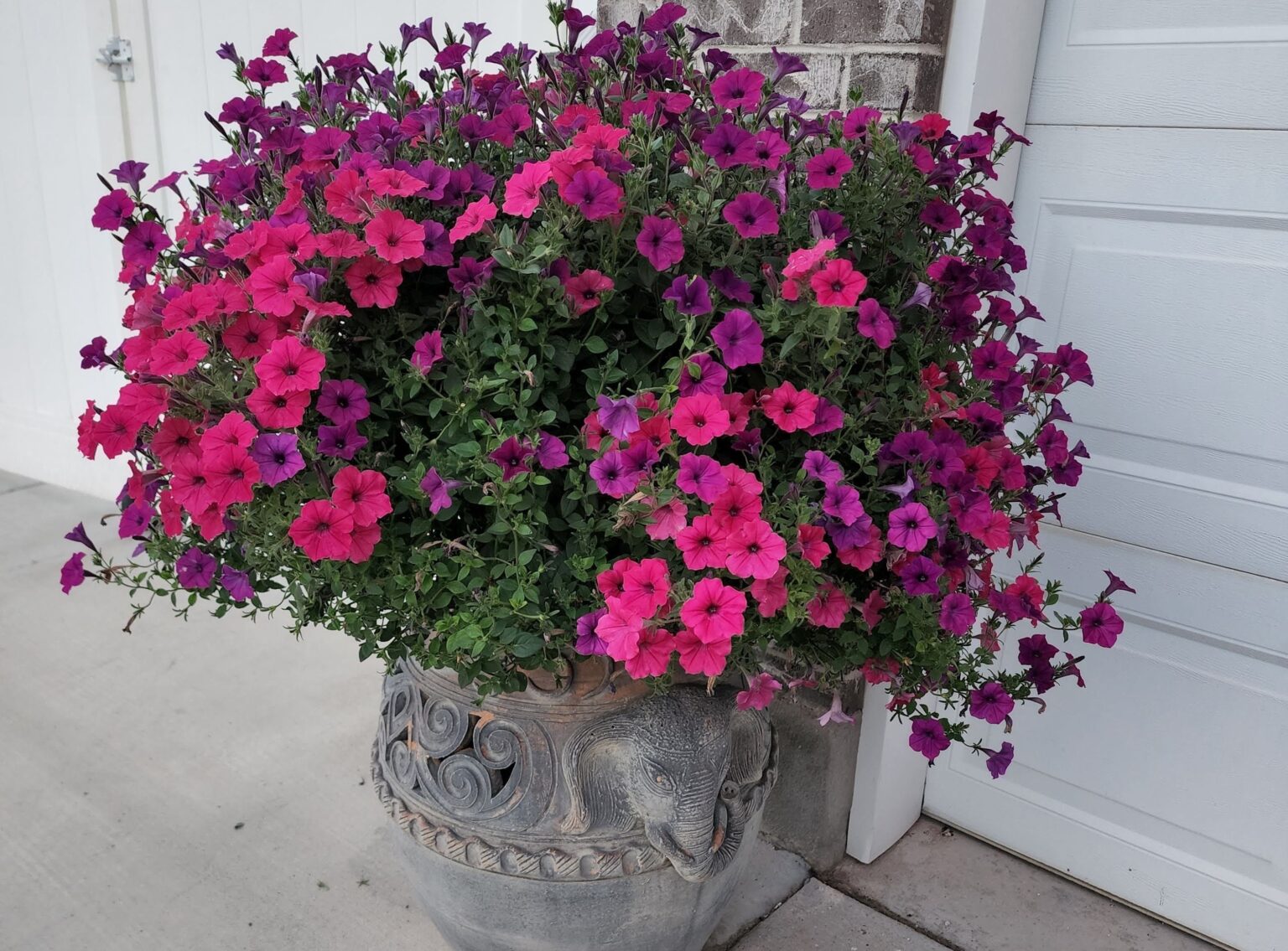 Turn any pot into a self-watering pot! Here's the inexpensive way to do ...