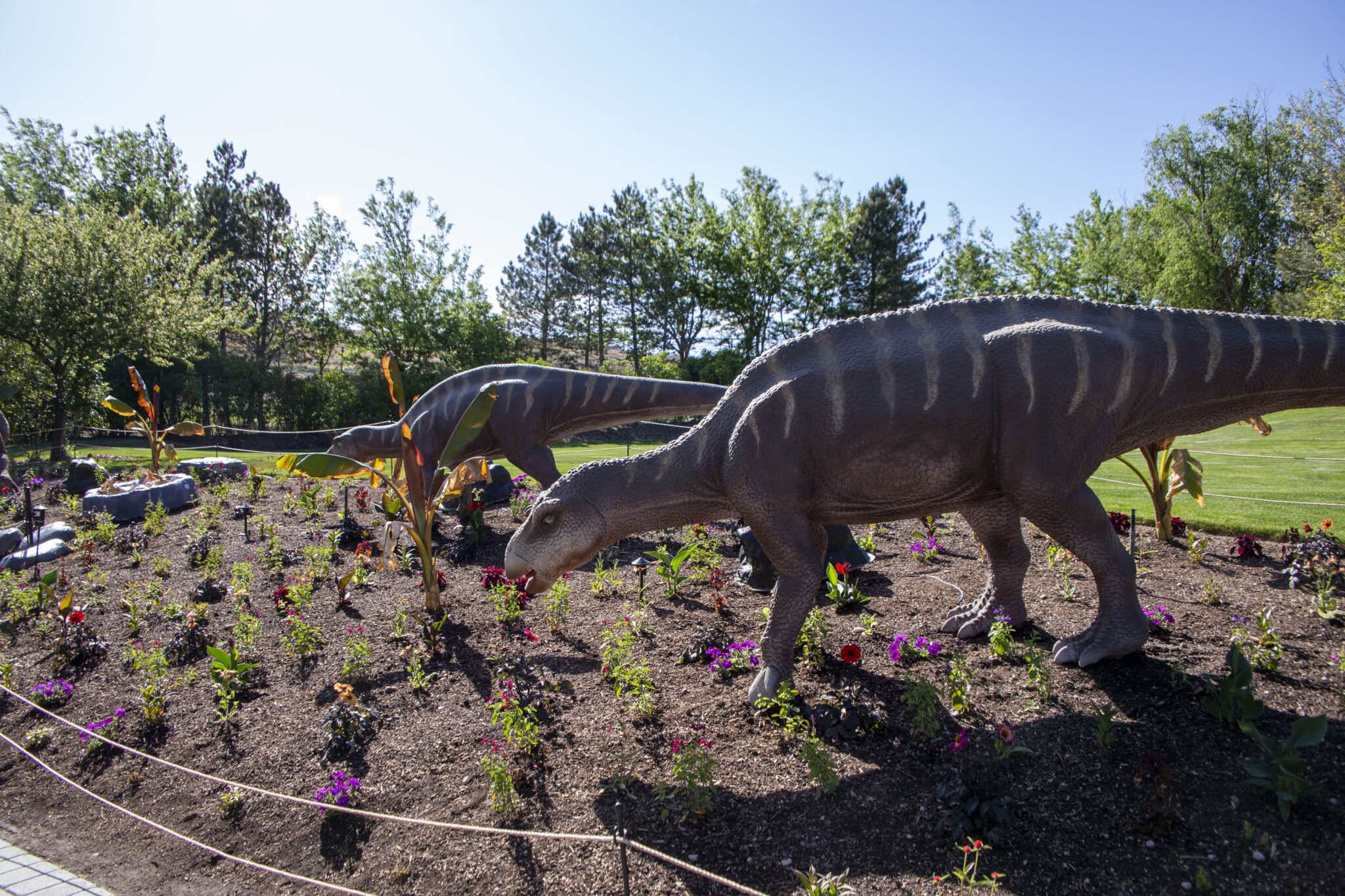 Visit some live action dinosaurs this summer! Here's where to go ...
