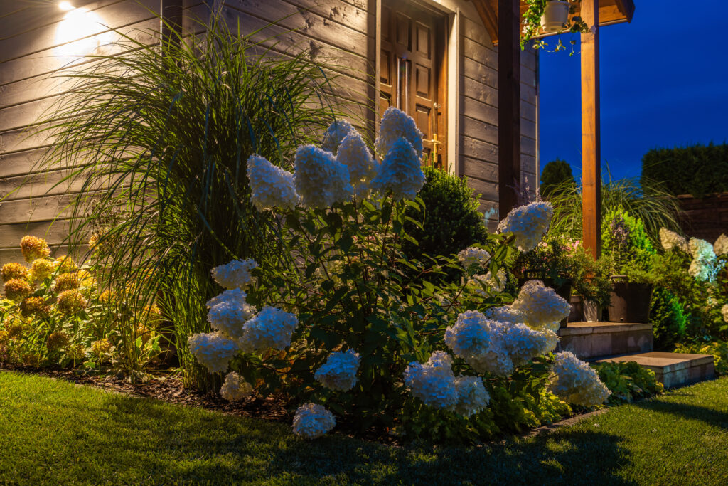 Moon Gardening: 10 things that will make your yard glow at night