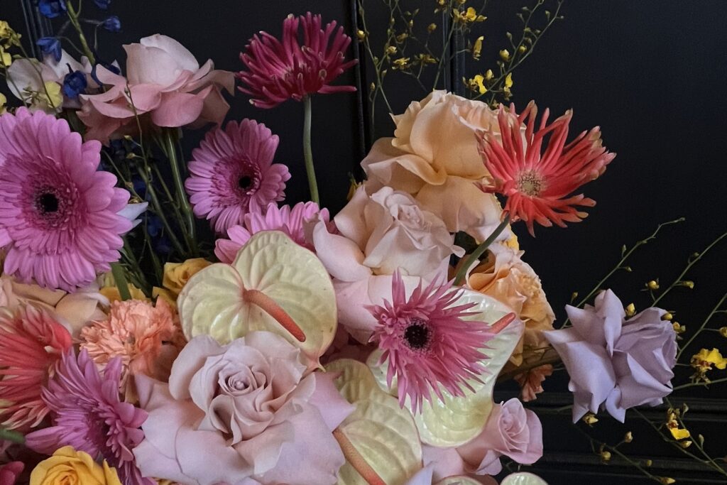Gerber daisies have a new look! 6 new flower varieties that make old ...