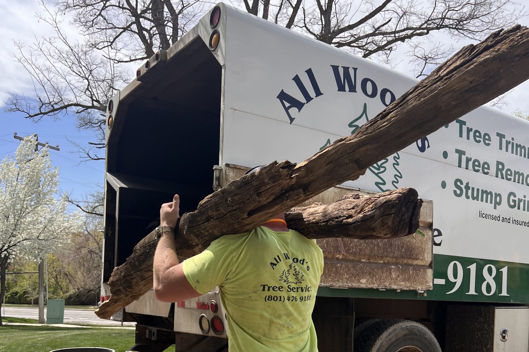 Now is the time to get your trees trimmed! Here's where to get some ...