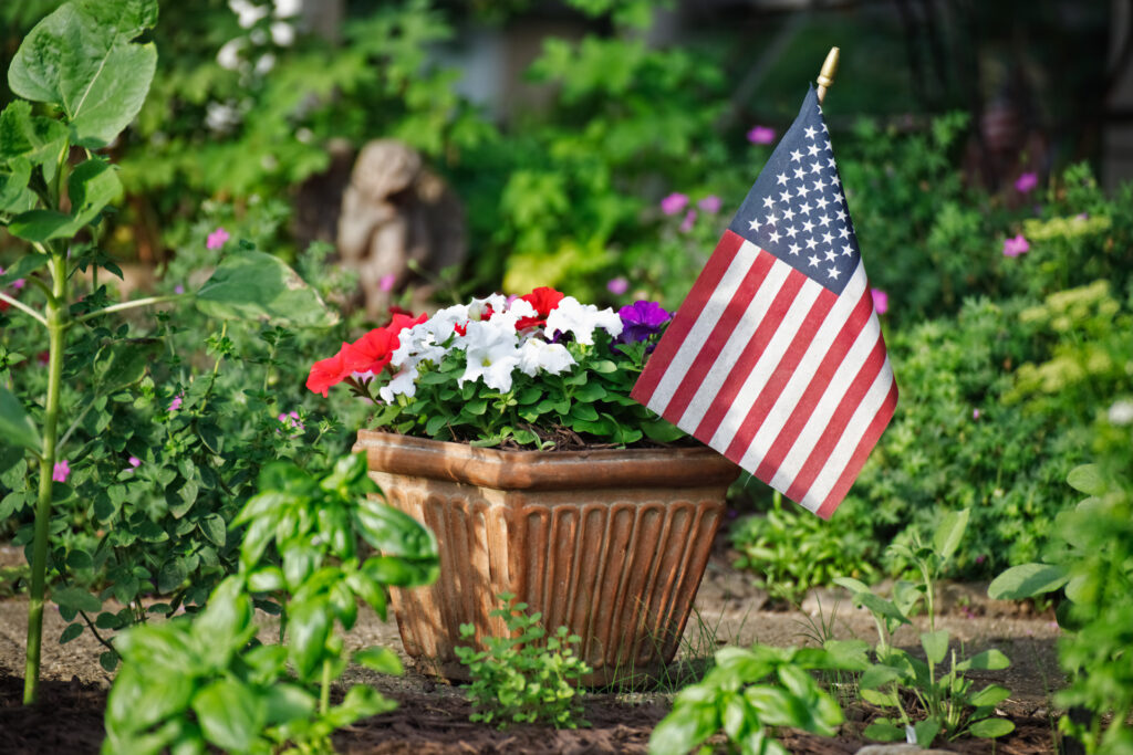 Patriotic Planters: Here's how to stage them for a temporary holiday look